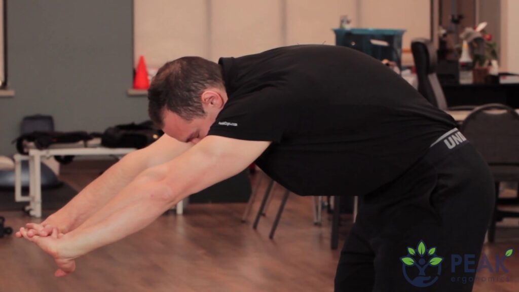 Peak Ergonomics | *Back Stretches - Peak Ergonomics